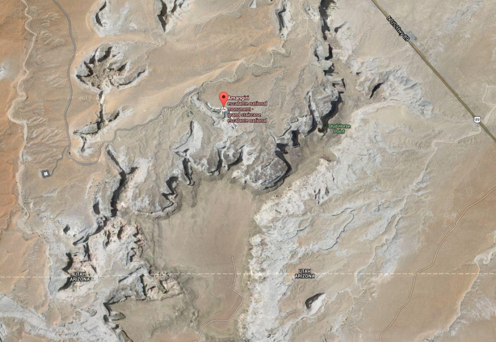 THIS IS THE COOLEST HOTEL IN THE UNITED STATES. - You Should Go Here